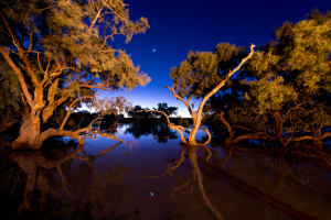 Yaraka | On The Outer Barcoo